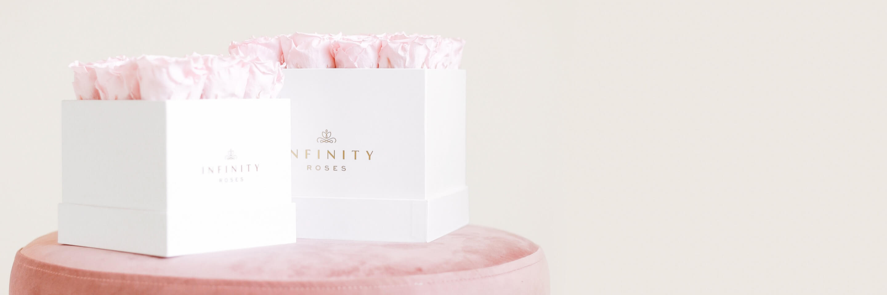 About Infinity Roses - Learn About Our Company