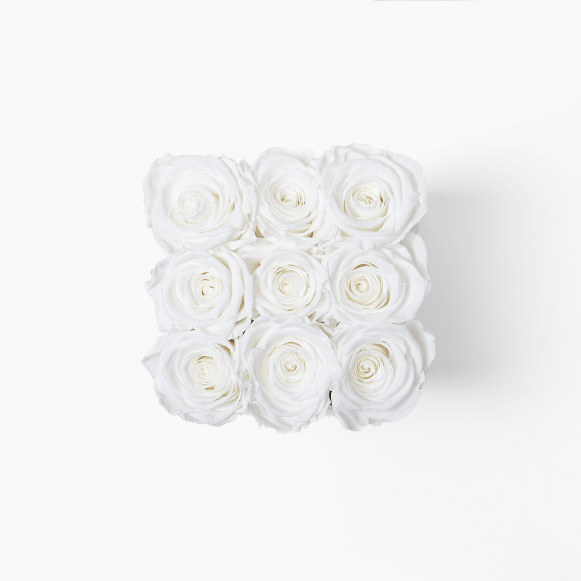 Rose Color Guide - The Infinity Roses Blog