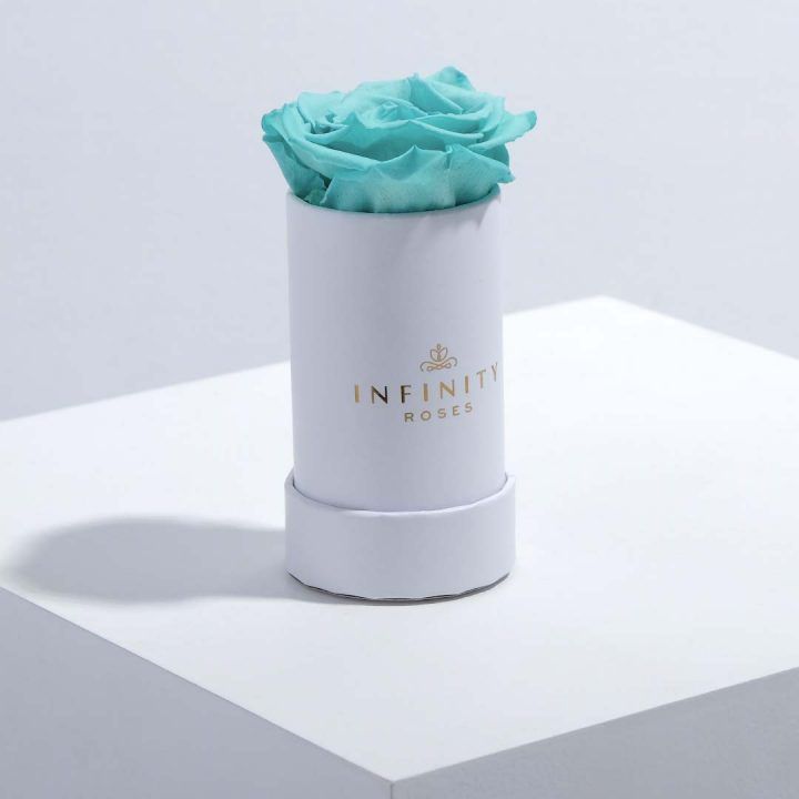 Rose Color Guide - The Infinity Roses Blog