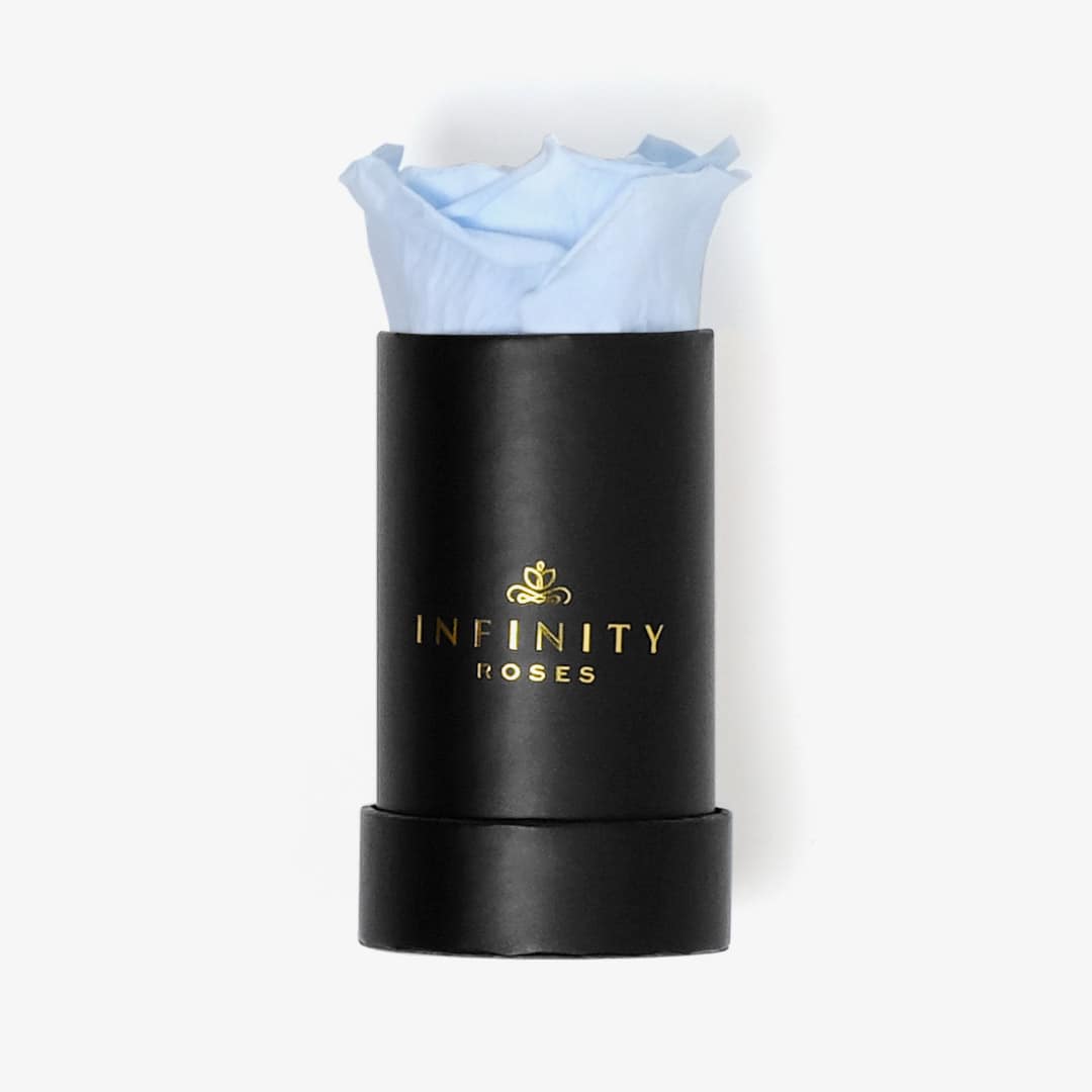 Shop Our Forever Roses In A Box | Next Day Delivery Available ...