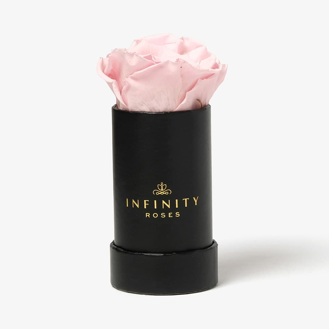 Shop Our Forever Roses In A Box | Next Day Delivery Available ...