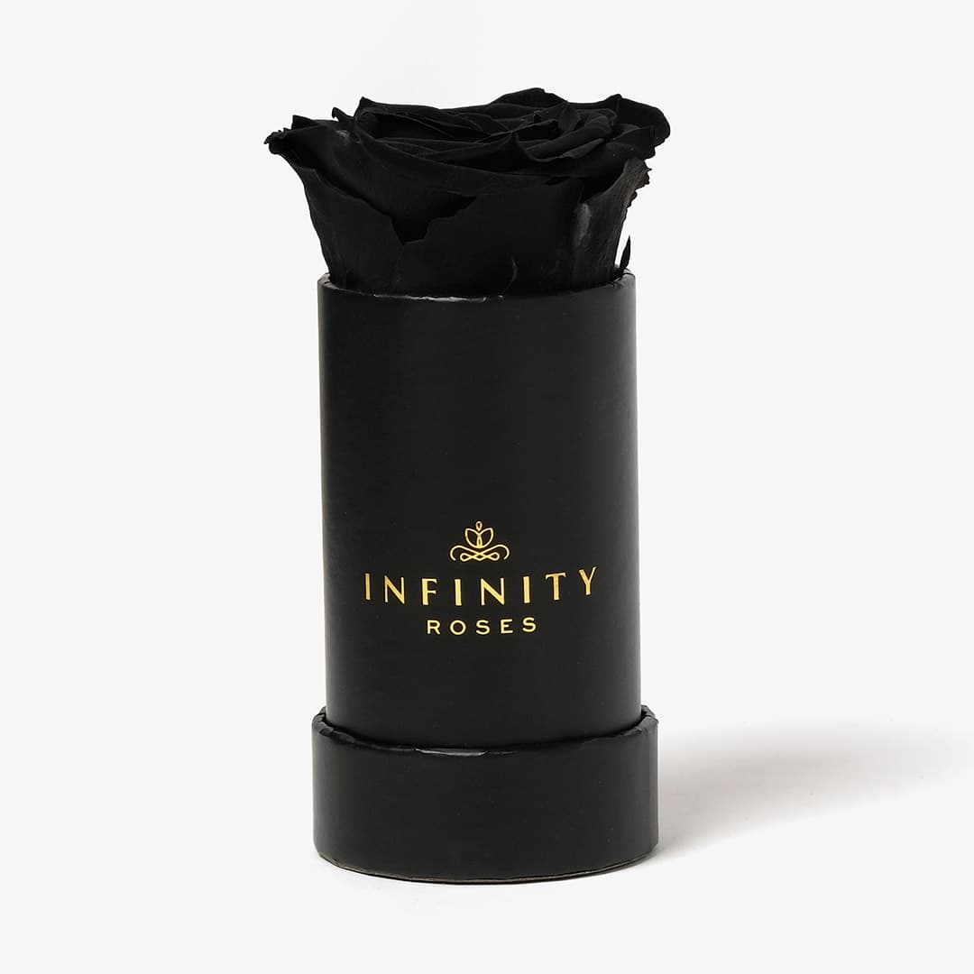 Shop Our Forever Roses In A Box | Next Day Delivery Available ...