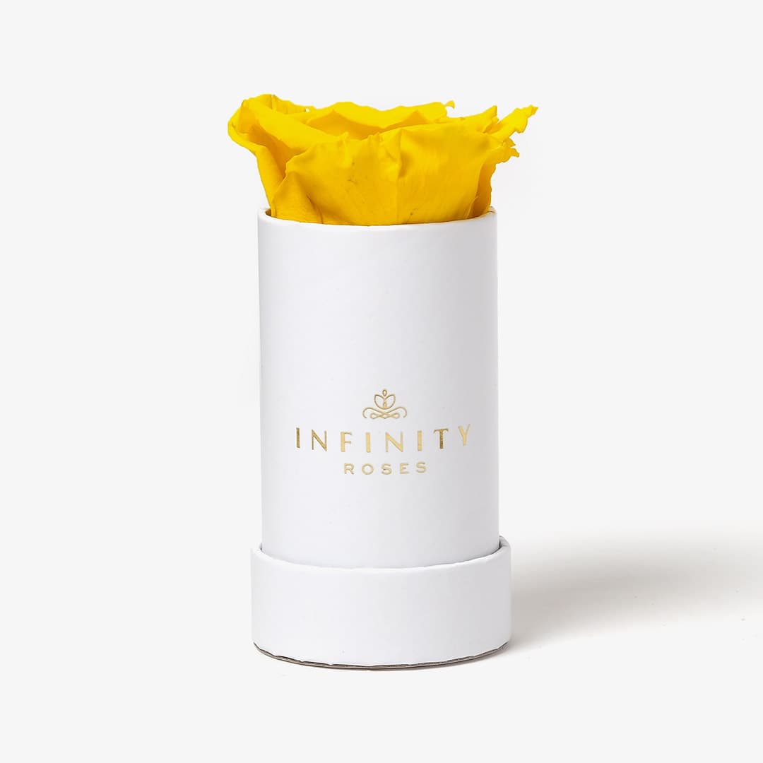 Shop Our Forever Roses In A Box | Next Day Delivery Available ...