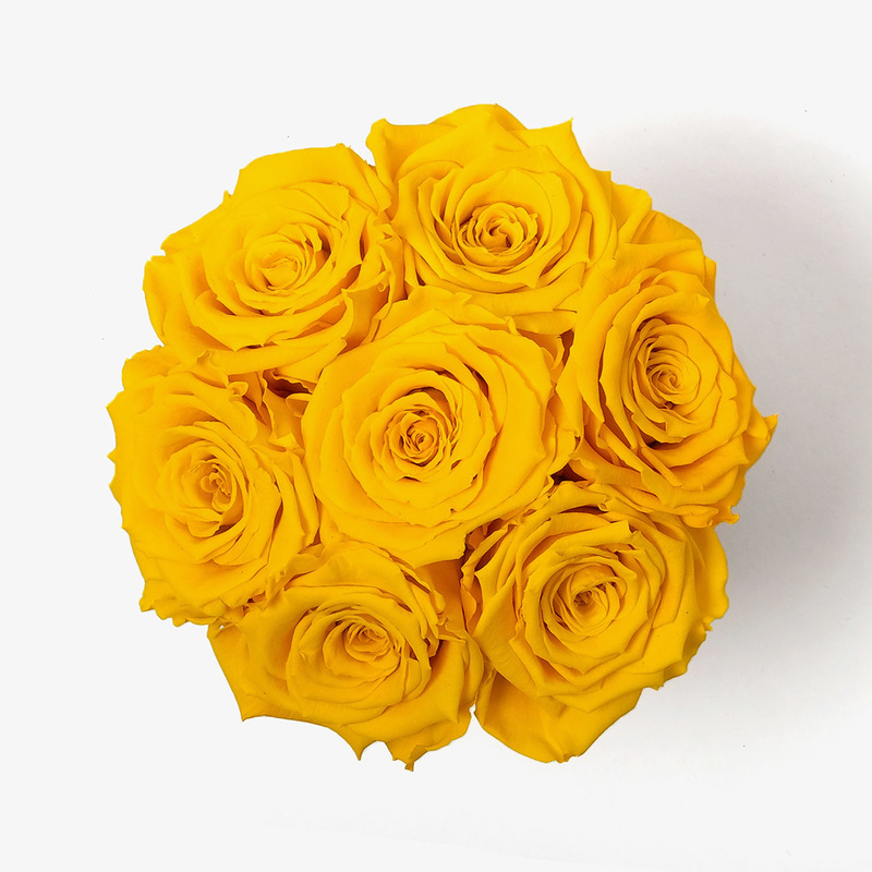 Infinity Roses | Medium Bloom Rose Box