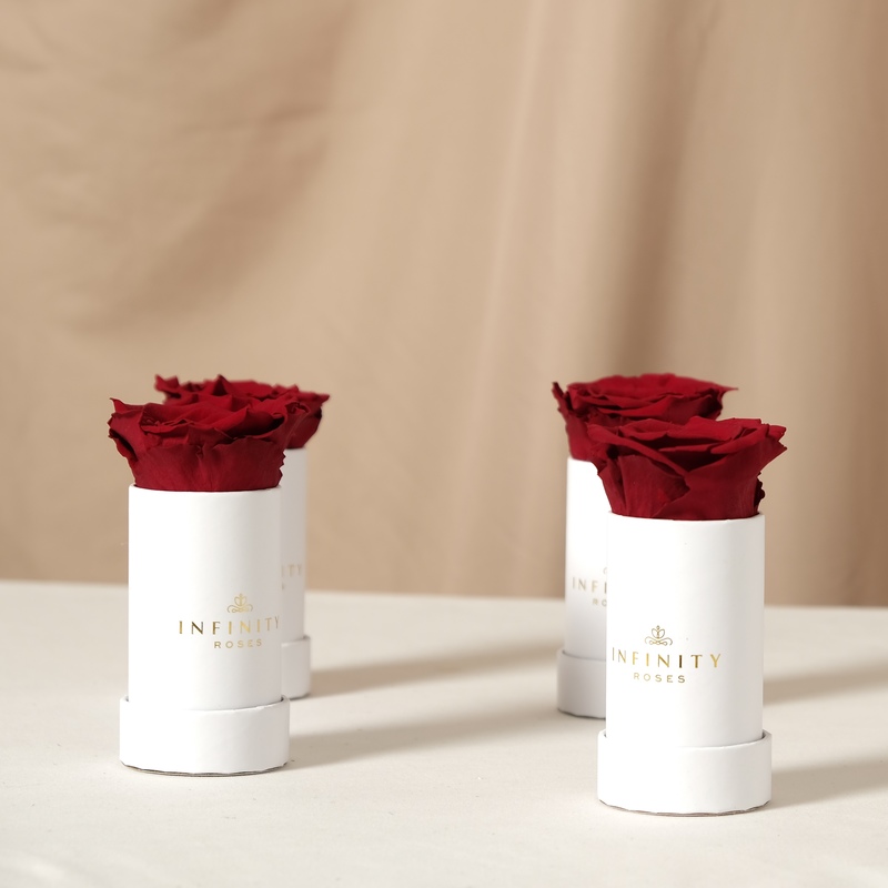 Infinity Roses | Single Rose Box